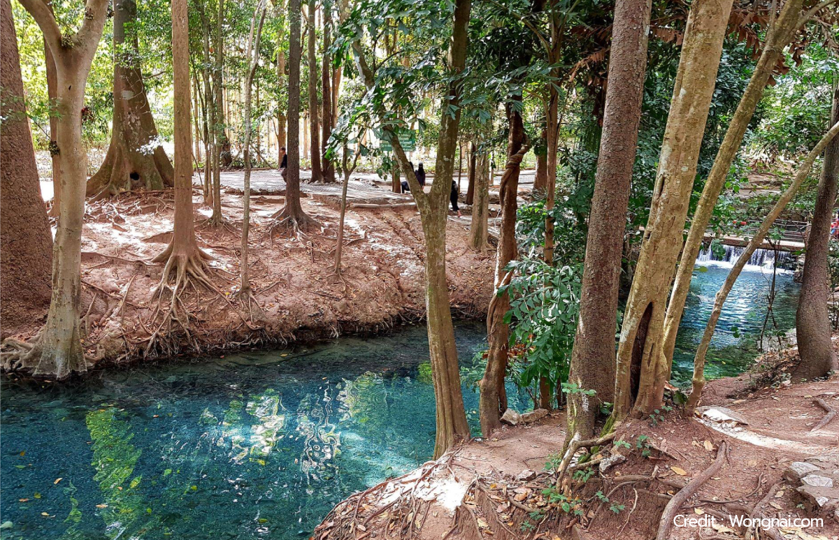 Soak in Fresh Spring Water at Ban Tha Chang Spring - Thames Valley Khao Yai